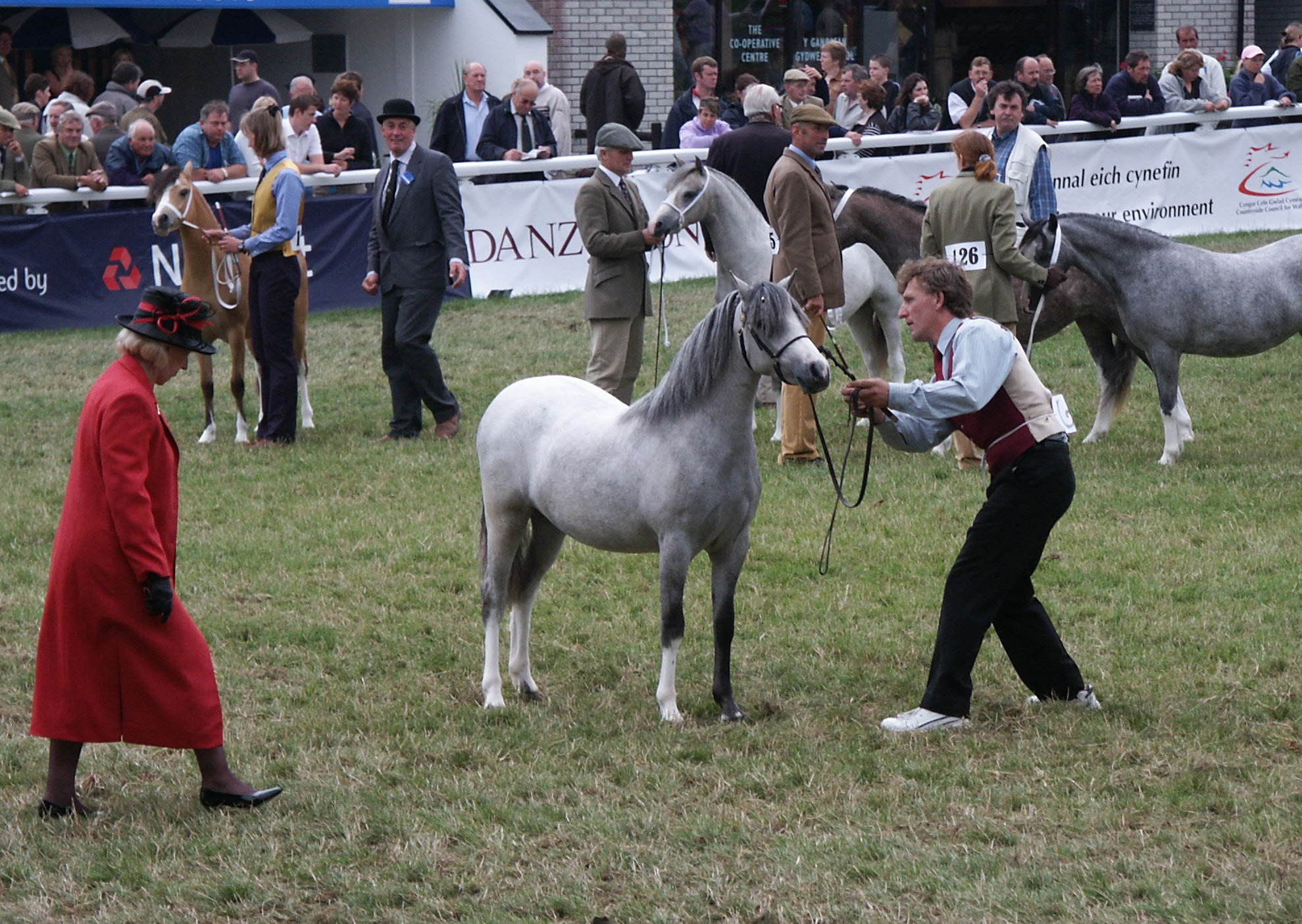 Eos Artemisia, Randan Absolutely Gorgeous and GreyGlyn Lady Sarah ...